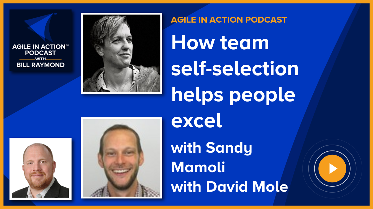 The Agile in Action with Bill Raymond Podcast